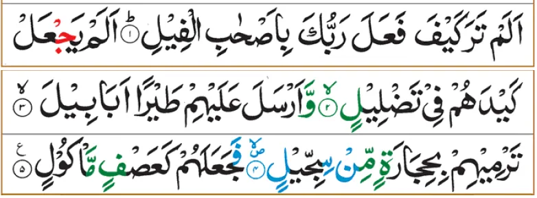 Last 10 Surah Arabic Color শেষের ১০ সুরা - HADIS QURAN